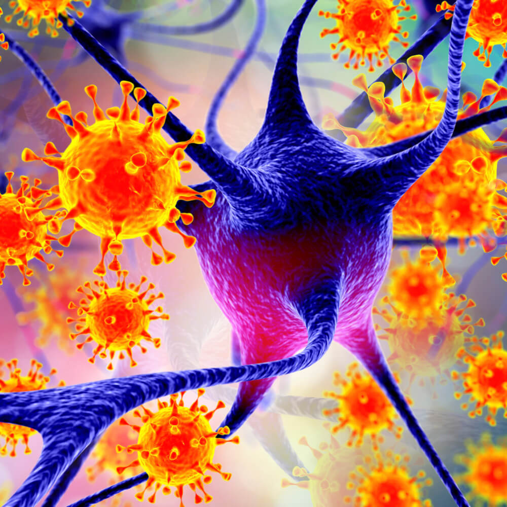 Who should get tested for the Varicella Zoster Virus (VZV) and why ...